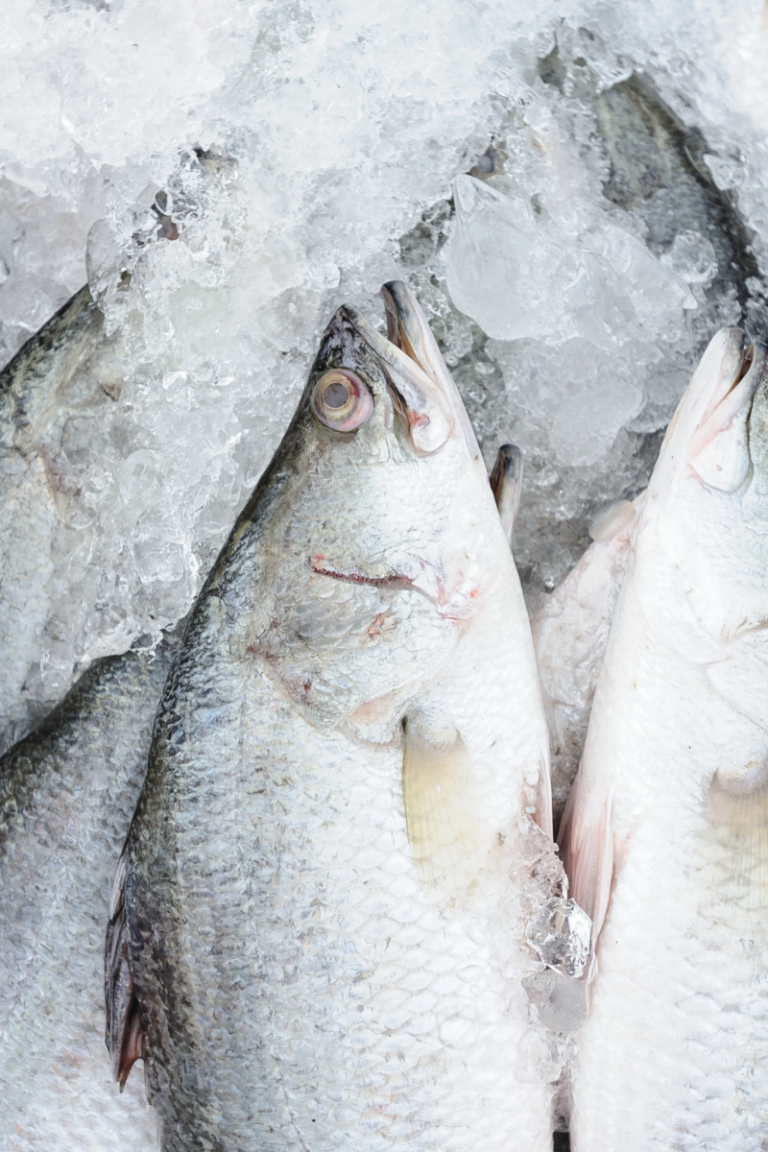 What Is Barramundi? - Savory Suitcase