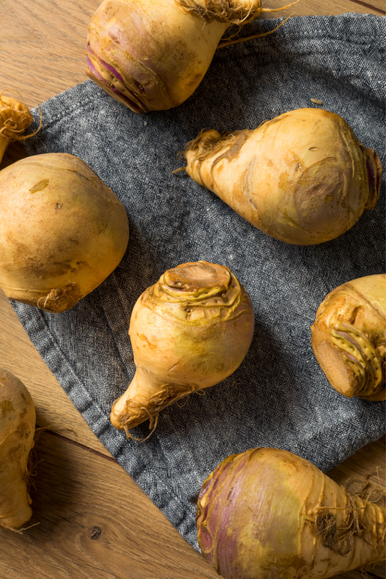 How to Store Rutabaga - Savory Suitcase