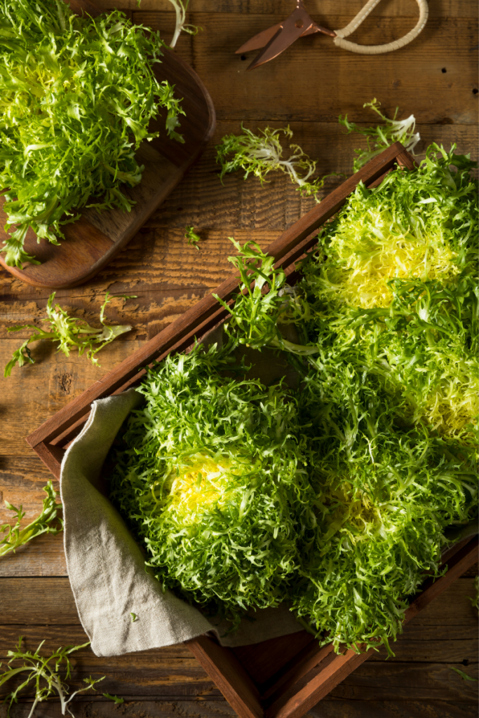 What Is Frisee? - Savory Suitcase