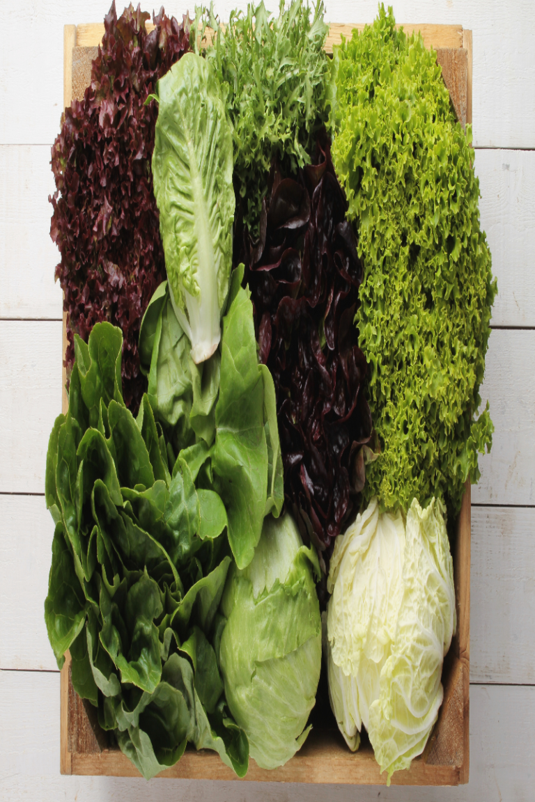 How to Store Lettuce - Savory Suitcase